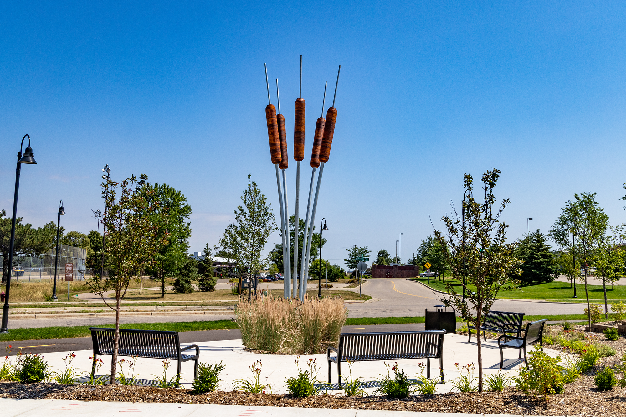 Urban Cattails – Remo Campopiano Studios
